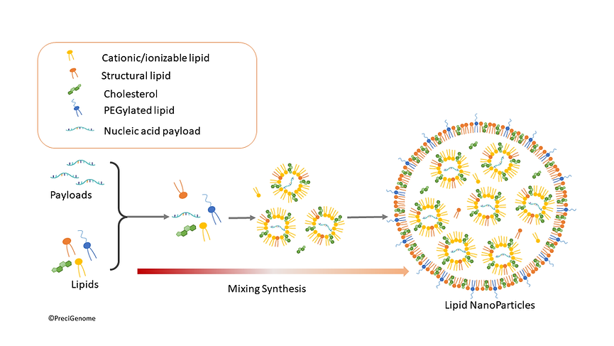 Lipid Nanoparticles LNP & Liposome Introduction | mRNA LNP, Liposome, Solid LNP for Drug ...